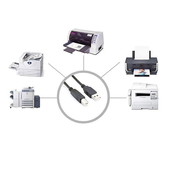 Câble d'Imprimante USB-A male vers USB-B male Noir 3M pour EPSON XP ...