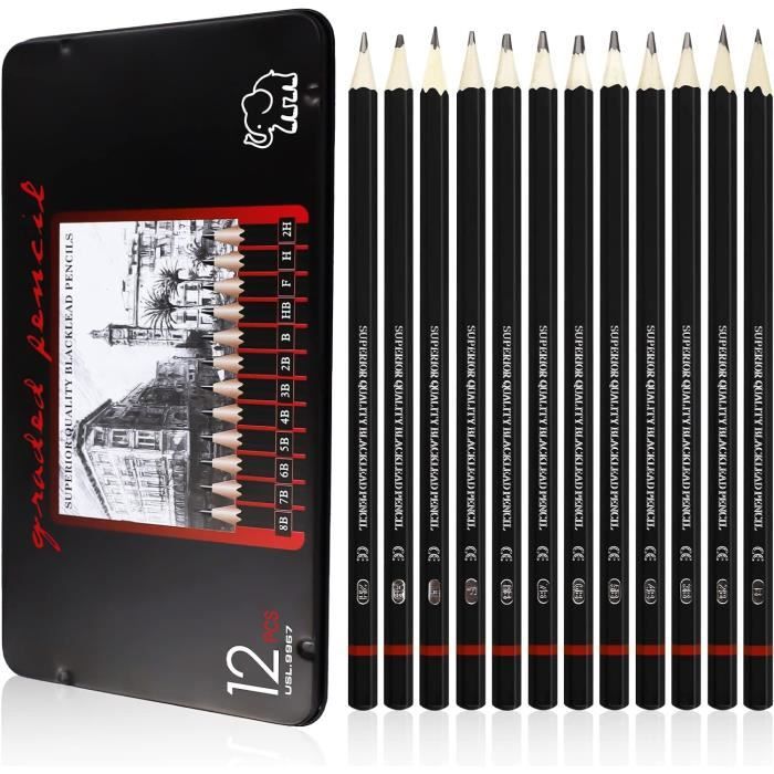 12 Crayons Dessin Professionnel, Crayon Papier 8B 7B 6B 5B 4B 3B 2B B Hb F H 2H[u470 ...