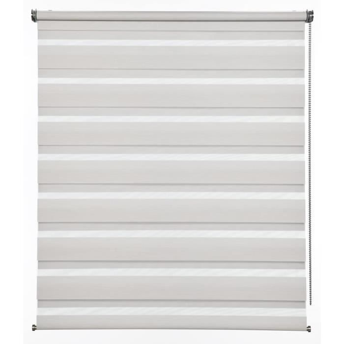 Store Enrouleur Double de Luxe, Montage au Plafond, au Mur, etc. Store ...