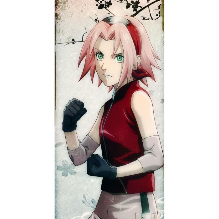 Poster Affiche Sakura Haruno Ninja Manga Naruto(42x60cmB) - Cdiscount ...