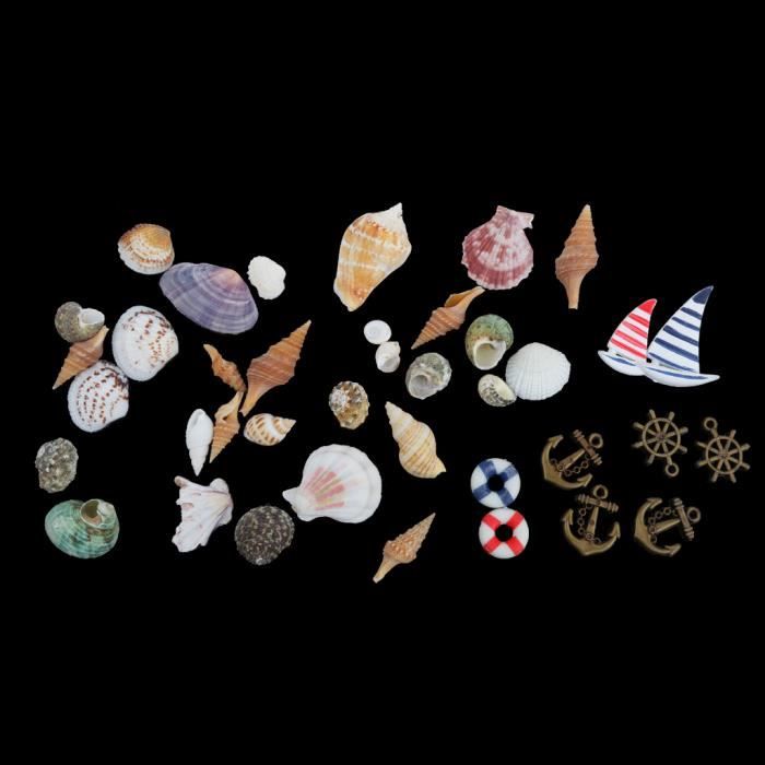 CHENET A BUCHE - COQUILLE A BUCHE - GRILLE A BUCHE Shell naturel ...