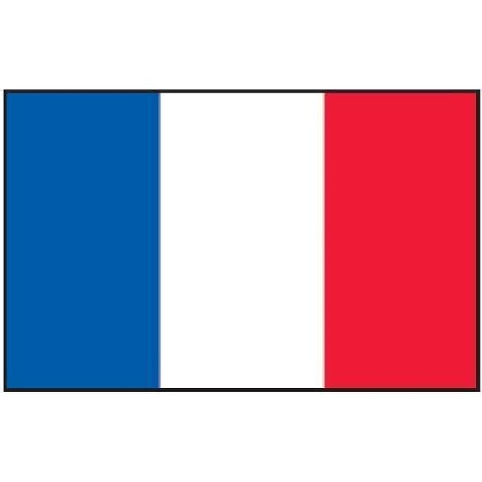 Petit drapeau francais - Achat / Vente pas cher