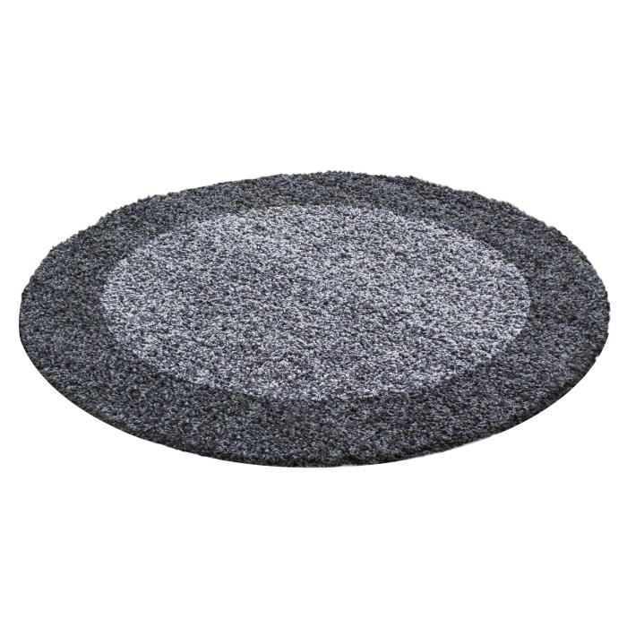 Fibres longues Hirsute Salon Shaggy Tapis 2 Couleurs de la hauteur de ...