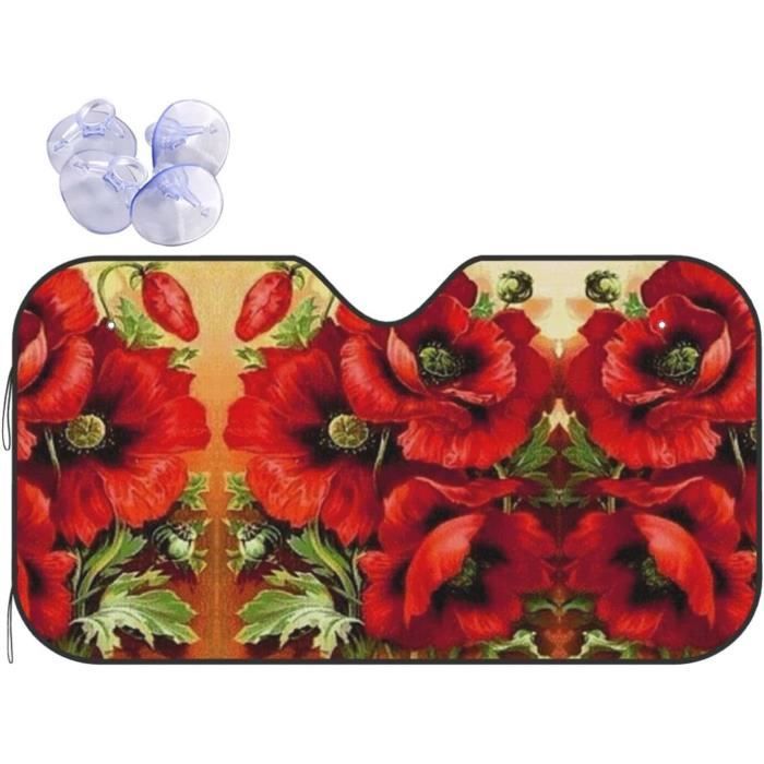 Pare-Soleil De Pare-Brise Pliable Et Personnalisé Pour Voiture - Motif ...