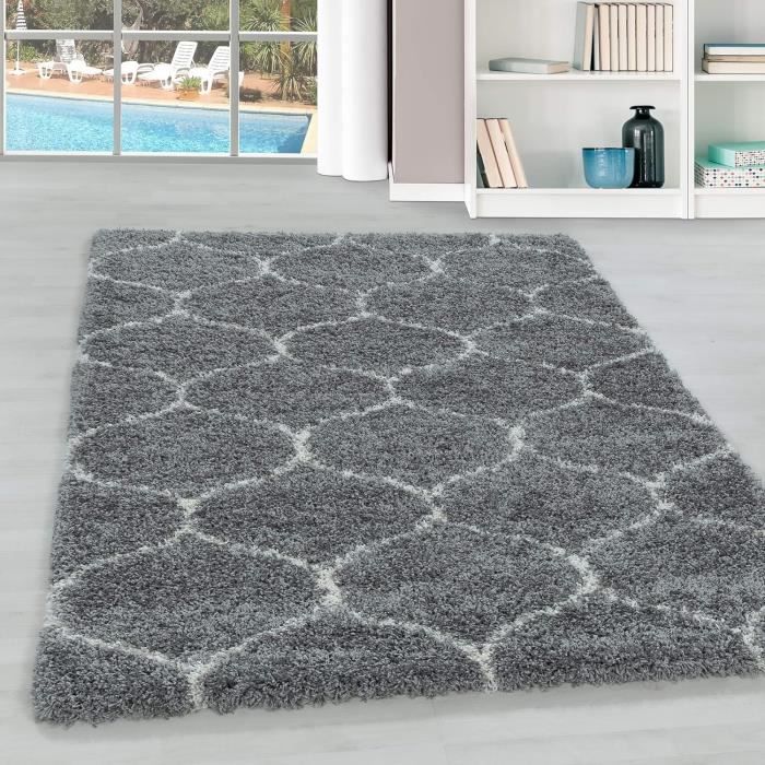 Tapis De Salon Scandinave Design Scandinave À Poils Longs Moelleux Tapis Shaggy Facile D ...