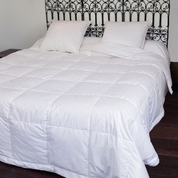 Couette fine anti-transpiration CASTEX - Duvet de Canard - 240x300 cm ...