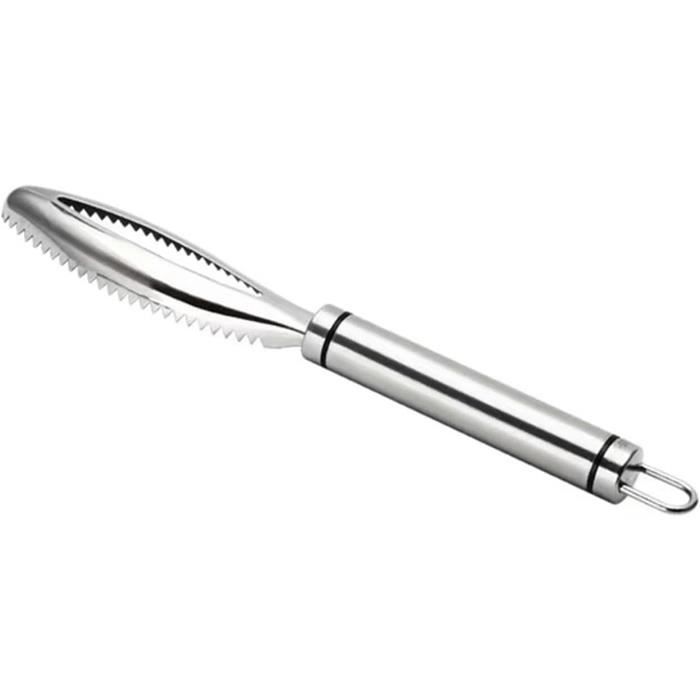 Écailleur Poisson,Gadget Cuisine,Couteau Poisson,Ustensiles de Cuisine ...