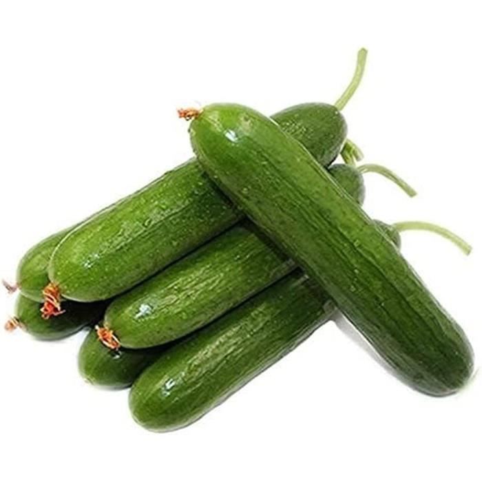 300 Pièces Graines De Concombre Vert Jardin Potager Bricolage Variétés ...
