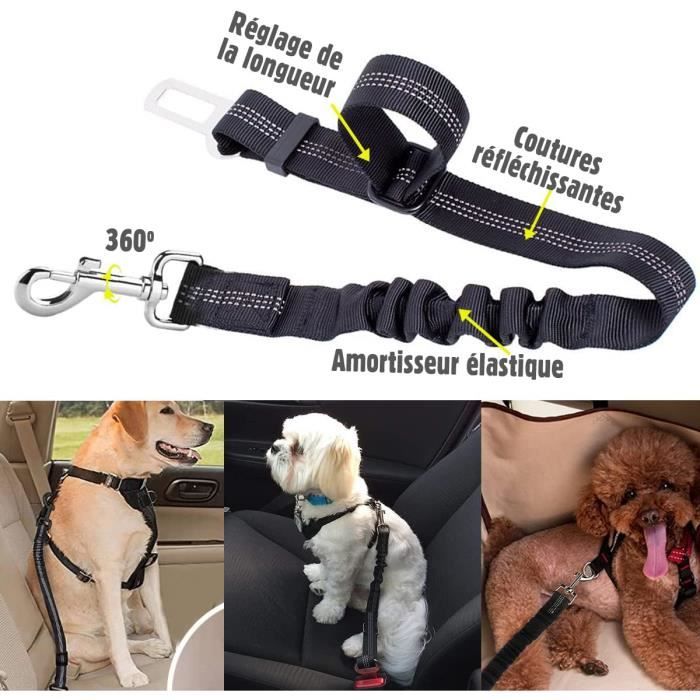 Ceinture Chien Voiture - Harnais Voiture Pour Chien - Ceinture De ...