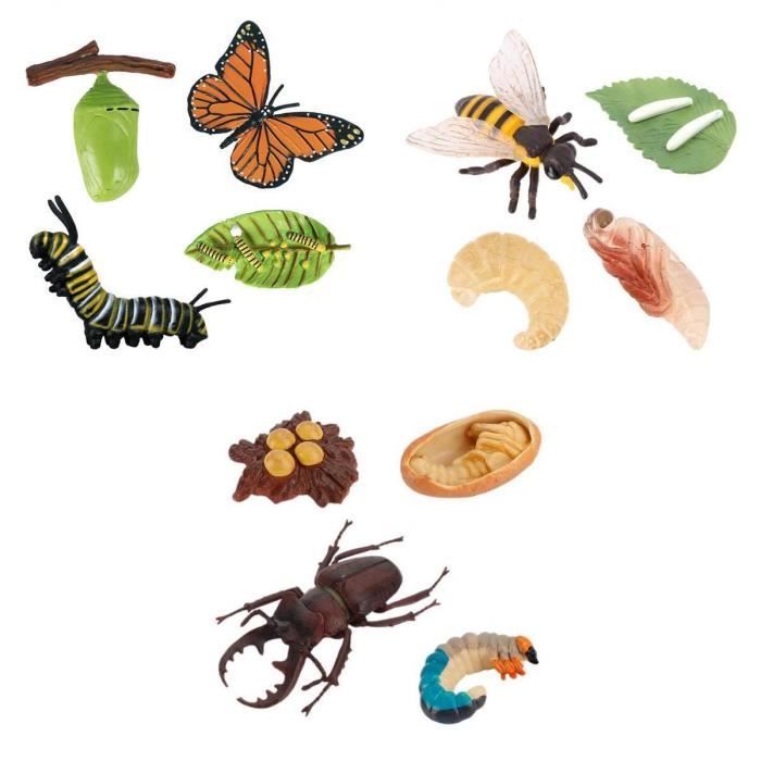 Plastique Nature insectes cycle de vie chiffres modèle Playset ...