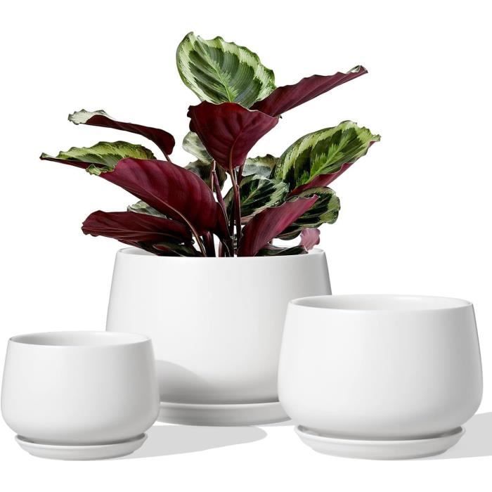 Pot de fleur en céramique, 10+13+16 cm, pot de fleur moderne pour la ...