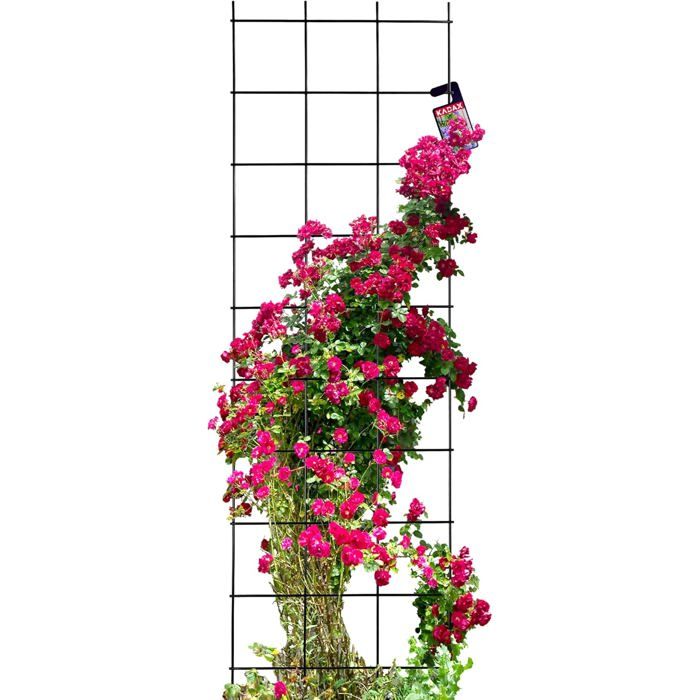 KADAX Treillis mural en acier pour plantes, jardin, balcon, terrasse ...