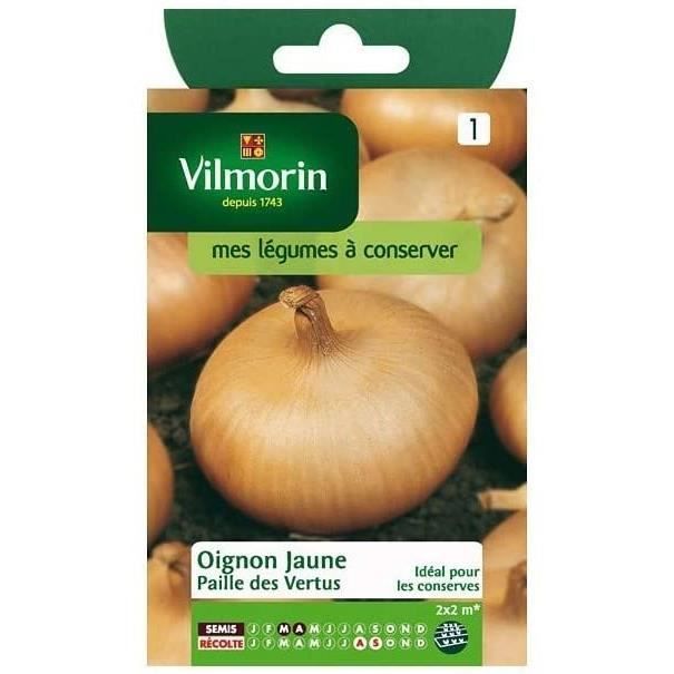 Sachet graines Oignon jaune Paille des Vertus[136] - Cdiscount Jardin
