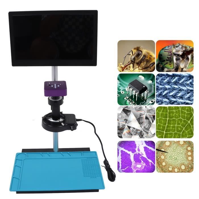 Microscope numérique USB Caméra de Microscope Industriel avec écran LCD ...
