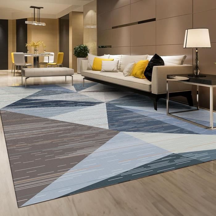 Moderne Tapis De Salon-Tapis De Chambre, Doux Et Antidérapant, Tapis Lavable En Machine, Tapis ...