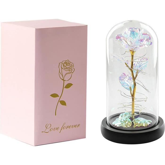 Rose Enchantée Éternelle Dans Un Dôme En Verre Avec Guirlande Lumineuse ...