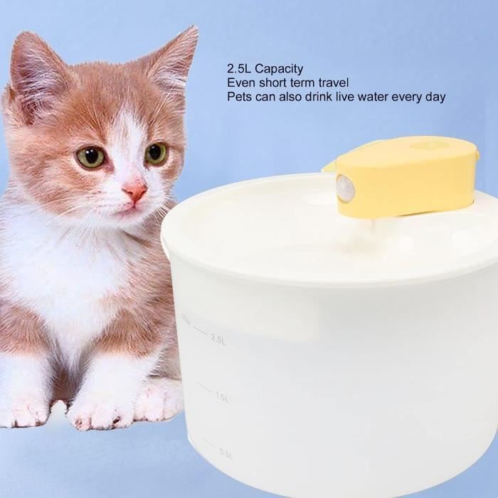 Mangeoire À Eau Pour Chat, Plug In 2.5L Fontaine Automatique Pour ...