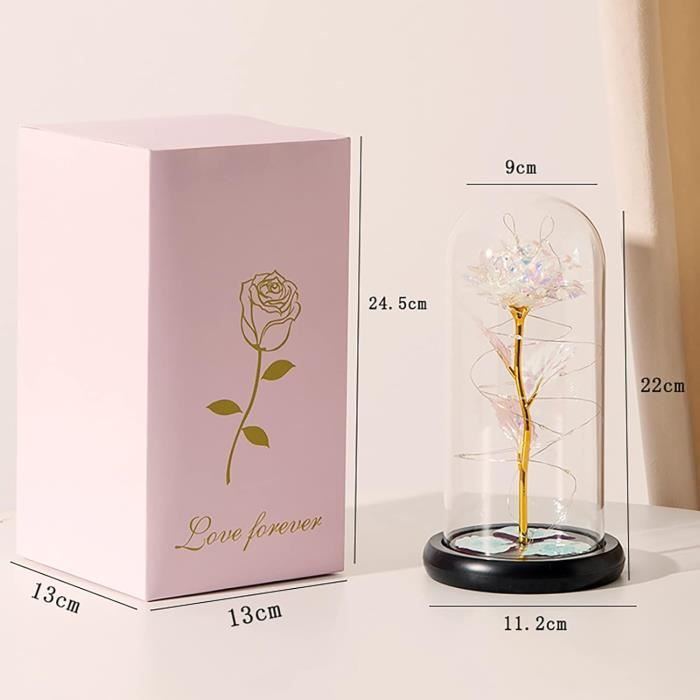 Rose Enchantée Éternelle Dans Un Dôme En Verre Avec Guirlande Lumineuse ...