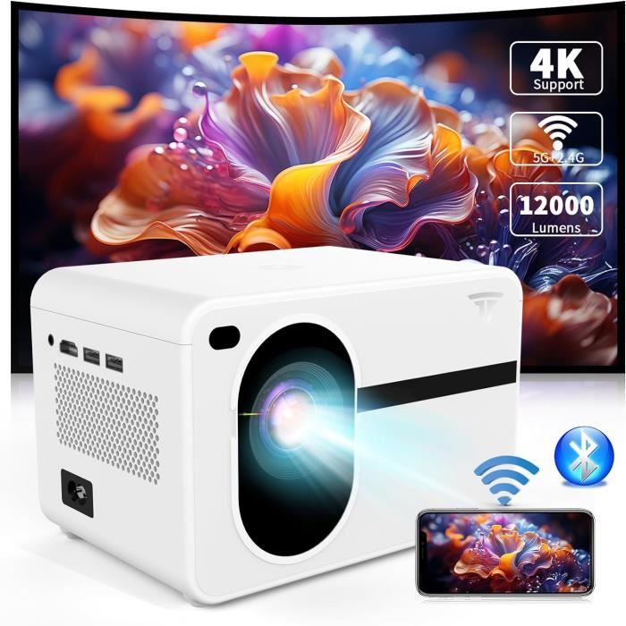Projecteur Mini Wifi Bluetooth Portable Indoor Outdoor Native 1080P ...