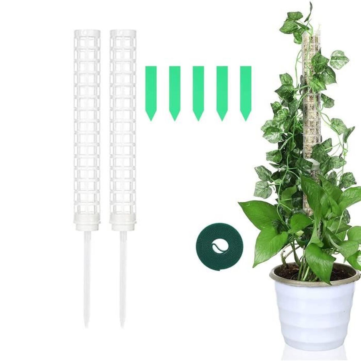 2Pcs tuteur Coco Monstera connectable,tuteur Plante grimpante,tuteur ...