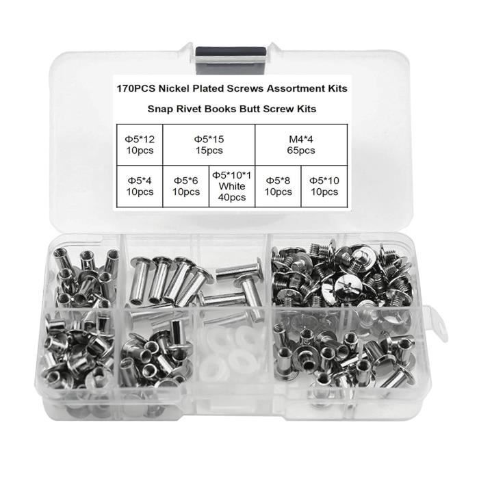 Lot De 170 Rivets À Visser Nickelés 6 Tailles Chicago Vis Rivet Métal ...