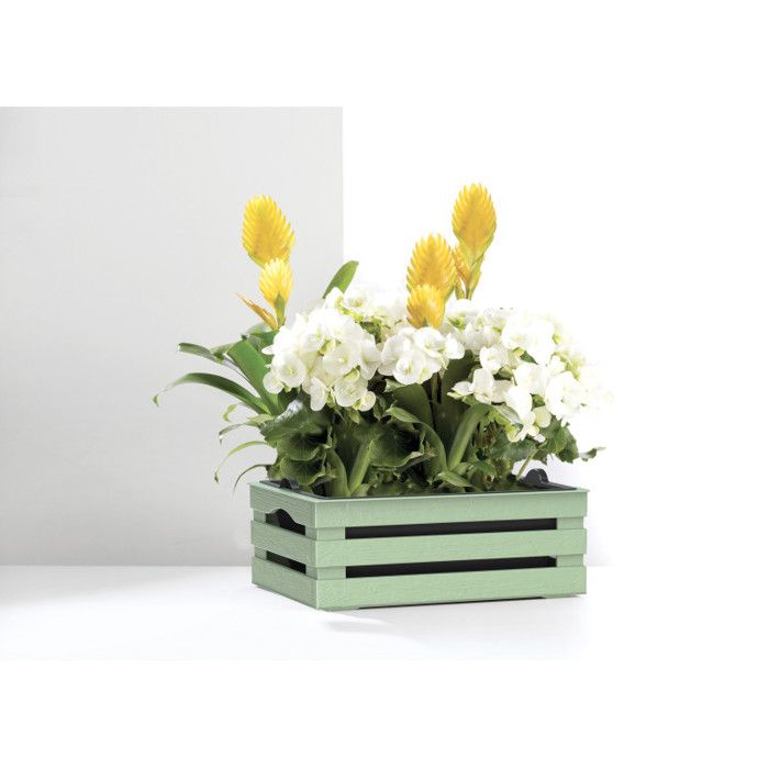 Caisse à fleurs avec pot + soucoupe "Tina" en plastique - Vert - L 25 x ...