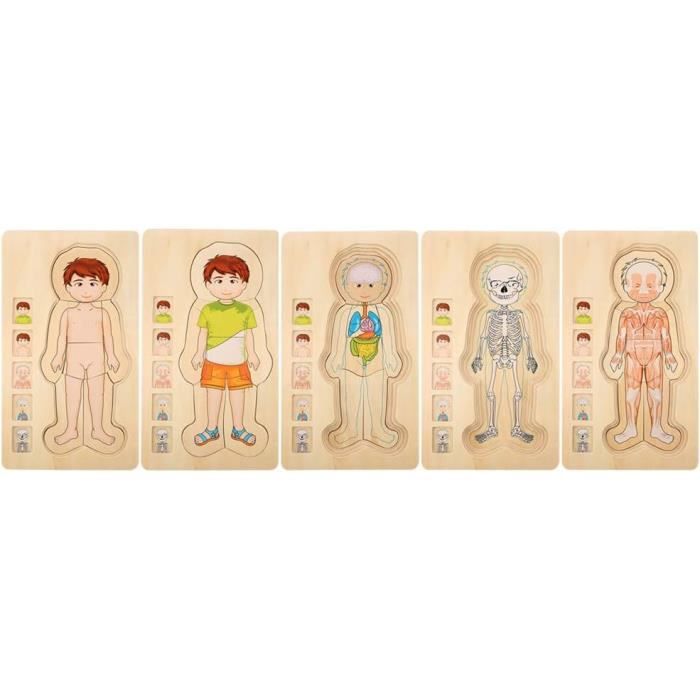Puzzle En Bois Sur Le Corps Humain Puzzle Anatomie Jouet De Casse-Tête ...