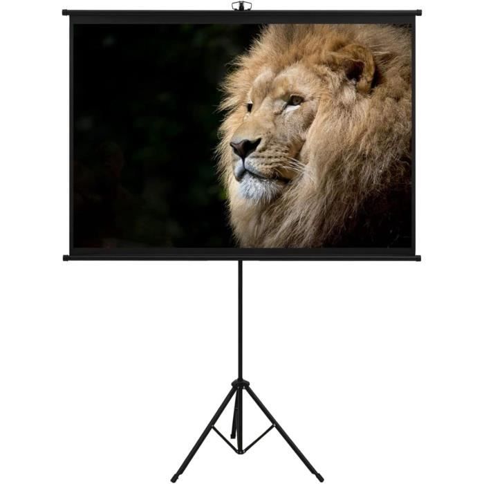 Mobile Écran De Projection Avec Trépied 57" 1:1, Écran Projecteur, Hd ...