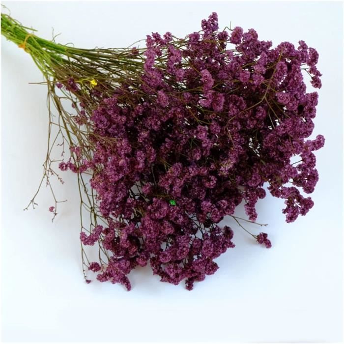 Top Aesthetics Cristal Herbe Préservée Bouquet De Fleurs Naturel Séché ...