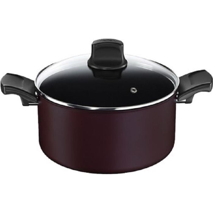 TÉFAL - FAITOUT Ø 24CM 5L INDUCTION TITANIUM SIGNATURE - C6874602 - Cdiscount Maison