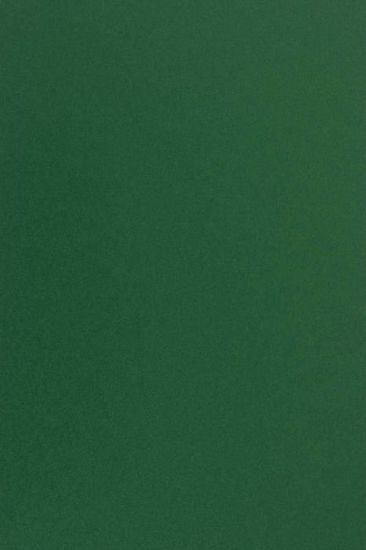 25x papier cartonné vert foncé A4 210x297mm 210g Sirio Color Foglia ...