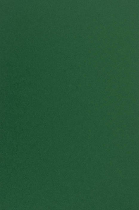 25x papier cartonné vert foncé A4 210x297mm 210g Sirio Color Foglia ...