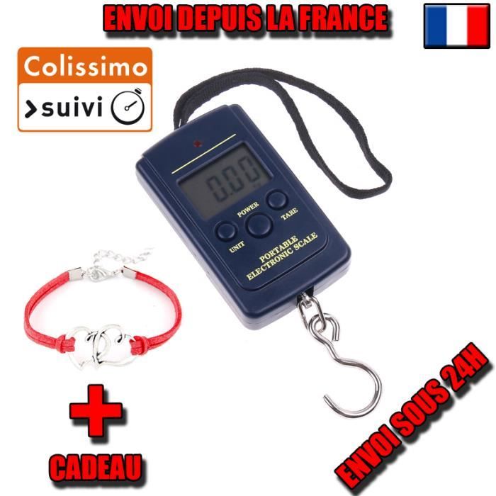 Balance à crochet Peson Electronique Digital Pèse Valise Sac Crochet ...