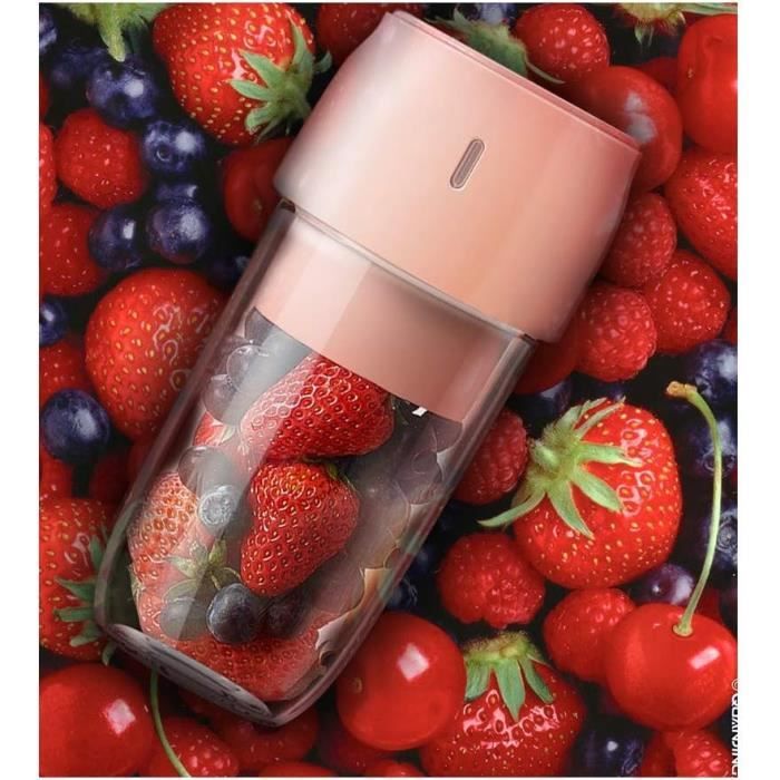 Mini-Blenders, Mini Blender Mixeur Des Fruits, Multifoncionnel Avec 3 ...