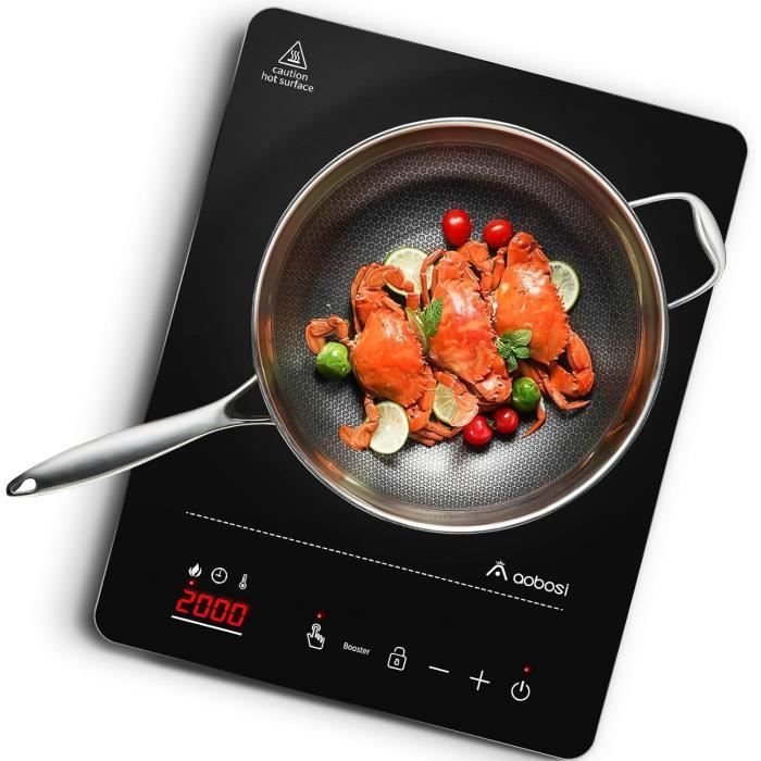 Aobosi Plaque De Cuisson À Induction,Plaque À Induction Portable, 10 ...