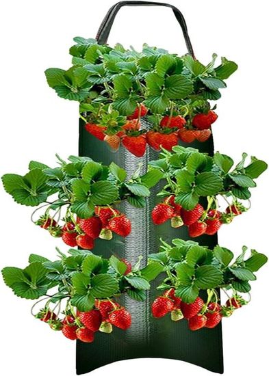 Pot Fraisier A Planter Sac Sac De Plantation Culture Pour Fraise Pots ...
