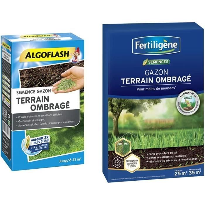 WEYE-ALGOFLASH Semence Gazon Terrain Ombragé, 900g & Fertiligene Gazon ...