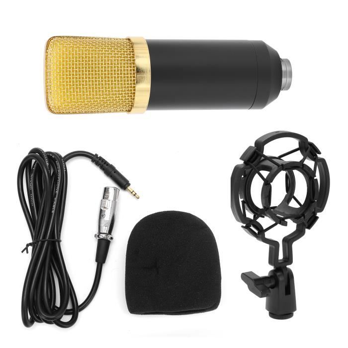 BEL-7643669850444-Microphone Professionnel Micro Professionnel Mini ...