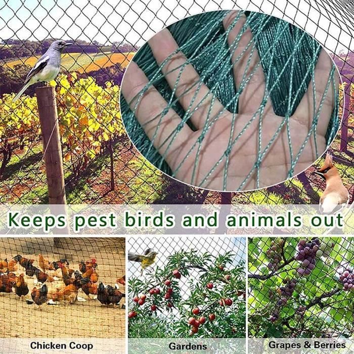 Filet Anti Oiseaux Transparent Filet Poules Voliere Garden Bird Netting ...