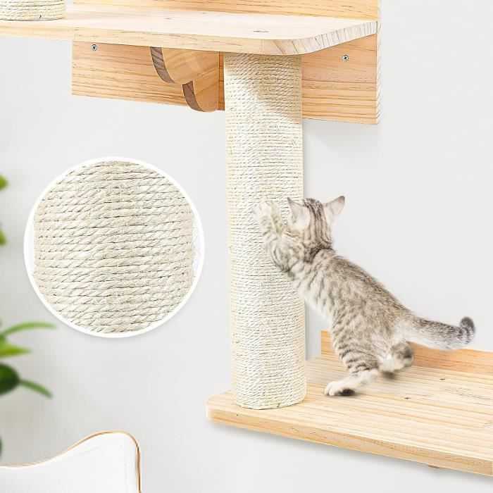 Mur d'escalade pour chat avec escalier pour chat - Cha longue murale en ...