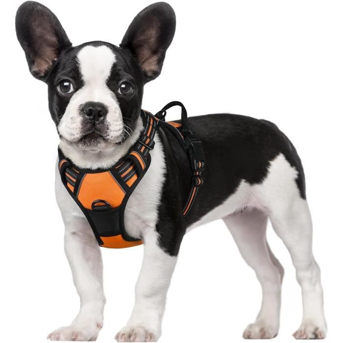 Harnais Chien S Arnais Orange Anti Traction Réfléchissant Gilet Réglable Pour Chien, Attache ...