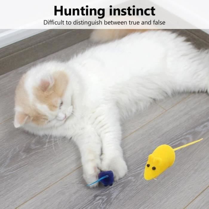 EAS - 20PCS Squeak Mouse Toy Interactive 4 Couleurs Soulager le stress ...