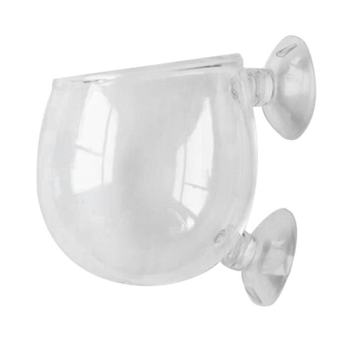 Paysage Plantes Culture Bassin Bassin Paysage Polka Fish Tank Elevage ...