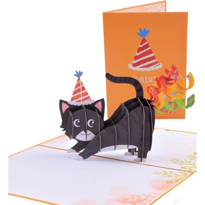Carte D'Anniversaire, Pop Up Carte Anniversaire Chat Drôle Anniversaire ...