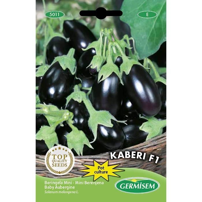 Graines Baby Aubergine KABERI F1 [38] - Cdiscount Jardin