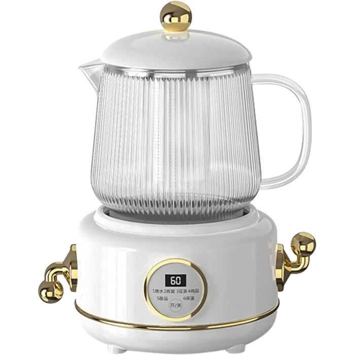 Mini Bouilloire Électrique Pour Théière, Théière Multifonctionnelle En ...