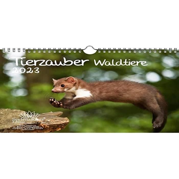 Calendrier A4 avec magie des animaux de la forêt - Pour 2023 animaux ...