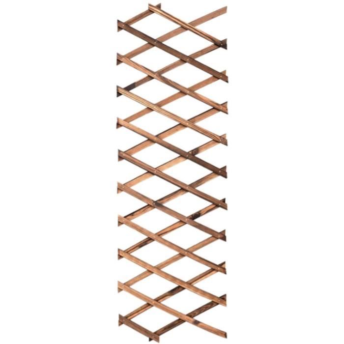 N Support Extensible de clôture de Treillis de Treillis d'escalade d ...
