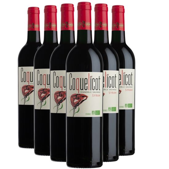 Bruno Andreu Coquelicot Syrah 2022 - Côtes Catalanes - Vin Rouge du ...