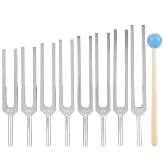 Diapason, 8 Diapasons en Aluminium avec Maillet Instruments Médicaux ...